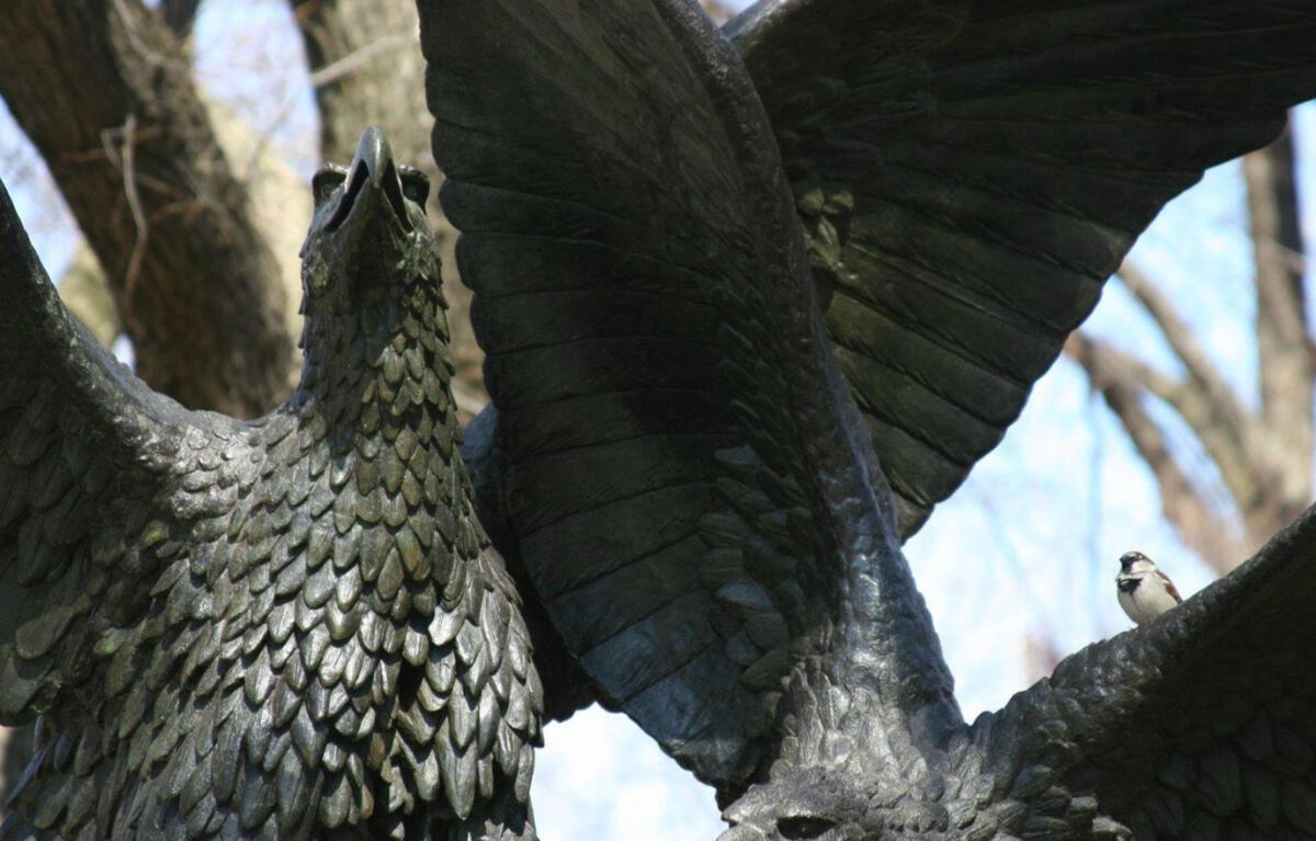 Brandon Acosta - Voice Actor